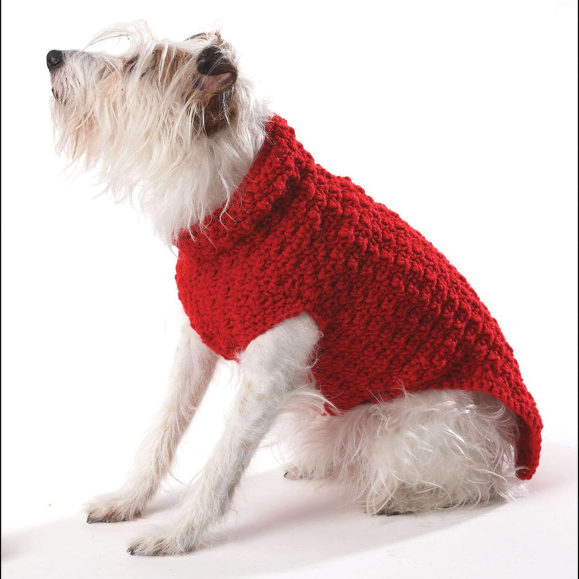 Free Easy Bernat Dog Coat Crochet Pattern | Yarnspirations