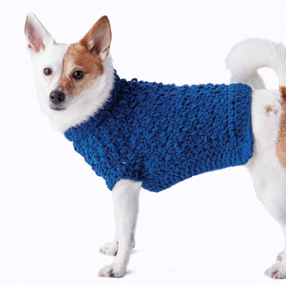 Free Easy Bernat Pet Dog Coat Crochet Pattern | Yarnspirations