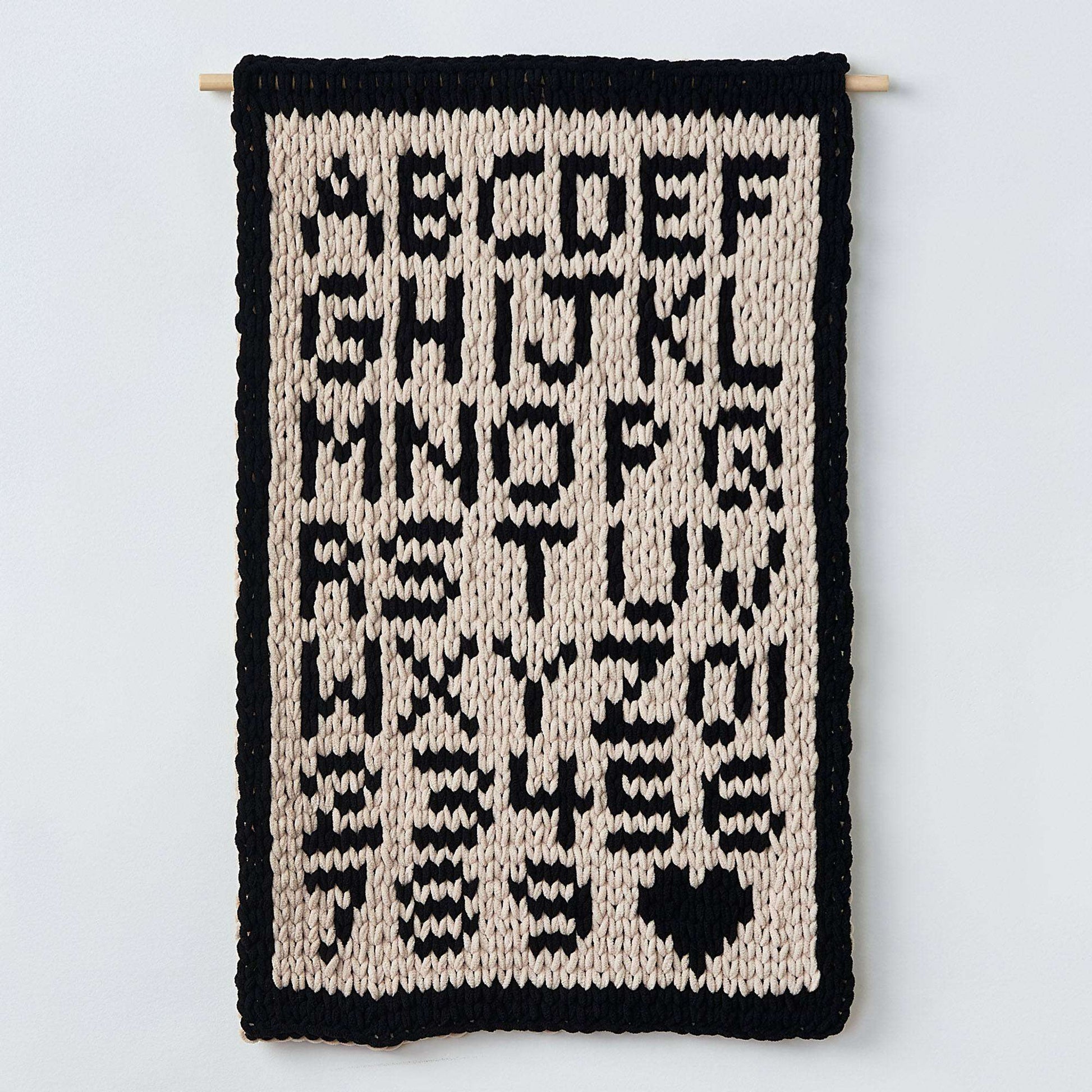 Free Beginner Bernat EZ Graph It ABC123 Sampler Wall Hanging Craft ...