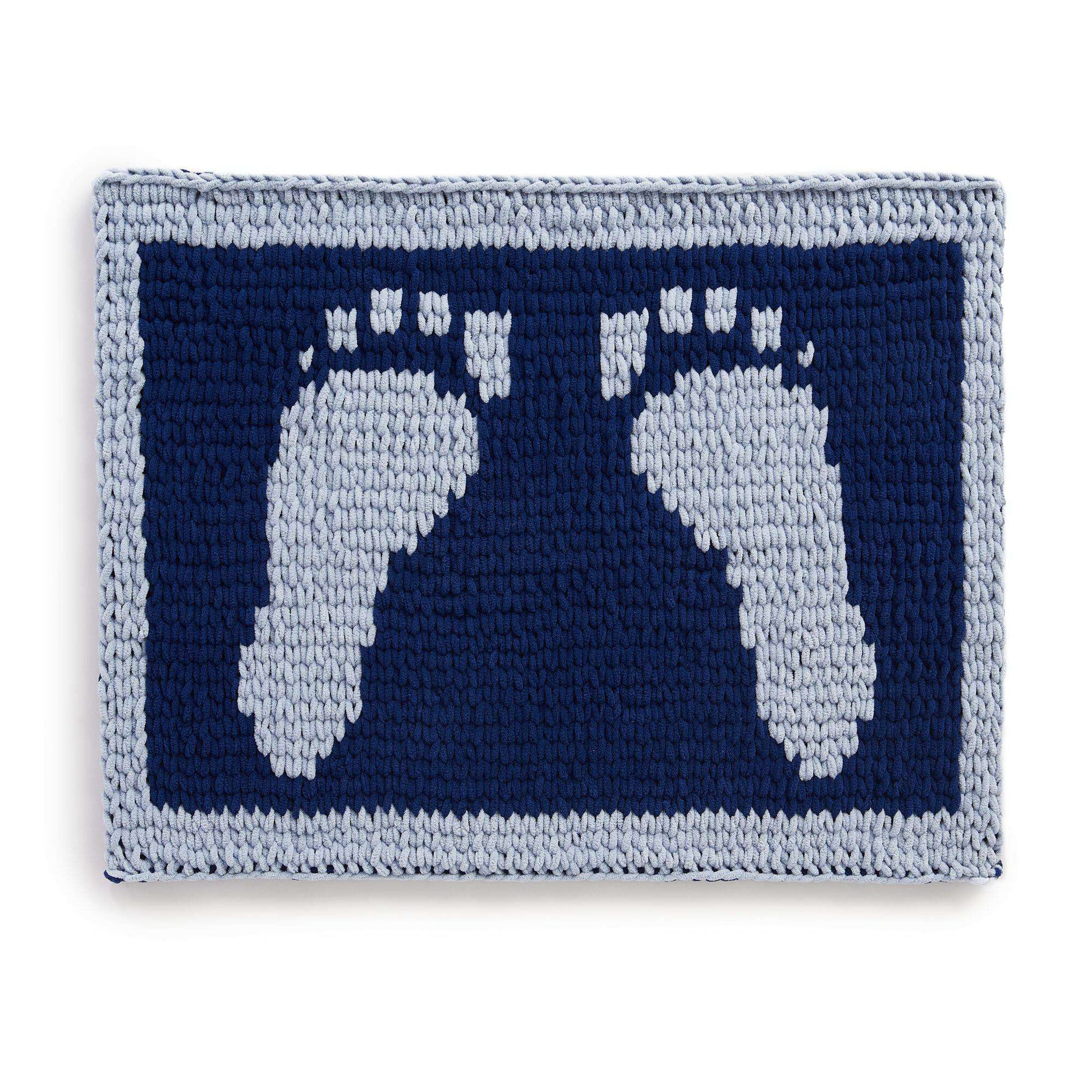 Free Easy Bernat EZ Graph It Footprint Rug Craft Pattern | Yarnspirations