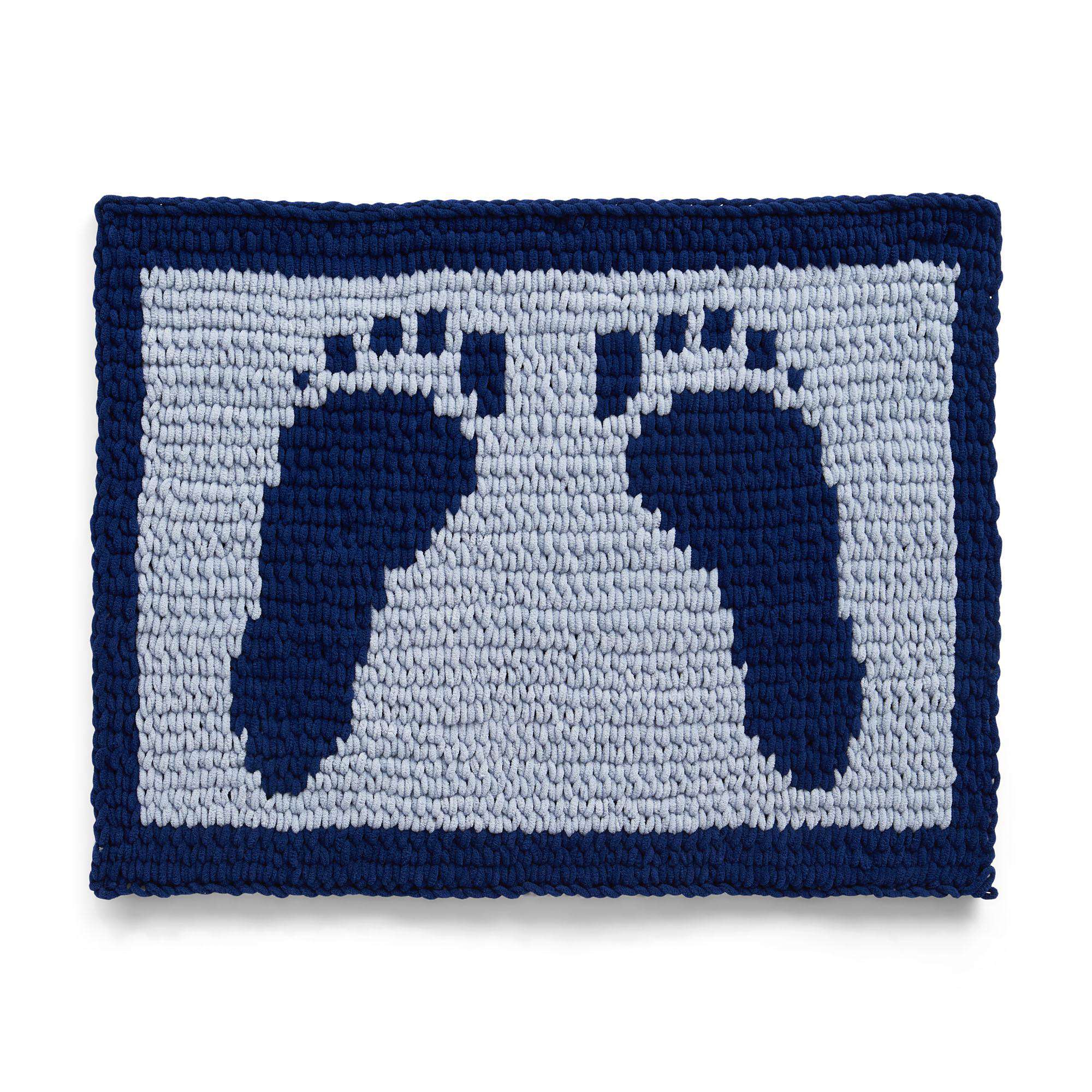 Free Easy Bernat EZ Graph It Footprint Rug Craft Pattern | Yarnspirations