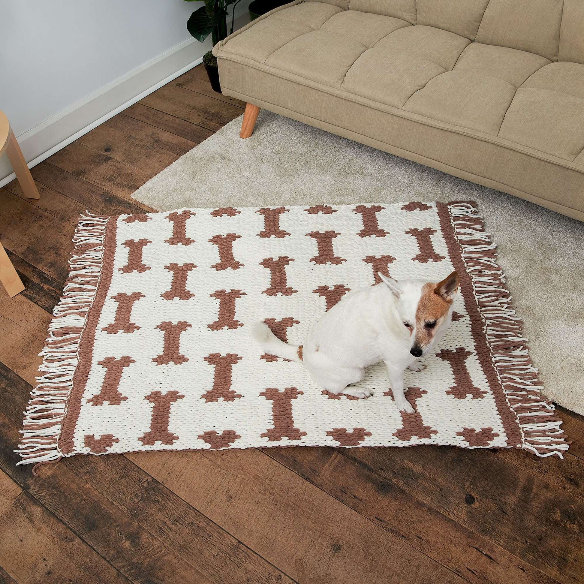 Bernat EZ Graph It Dog Bone Rug | Yarnspirations