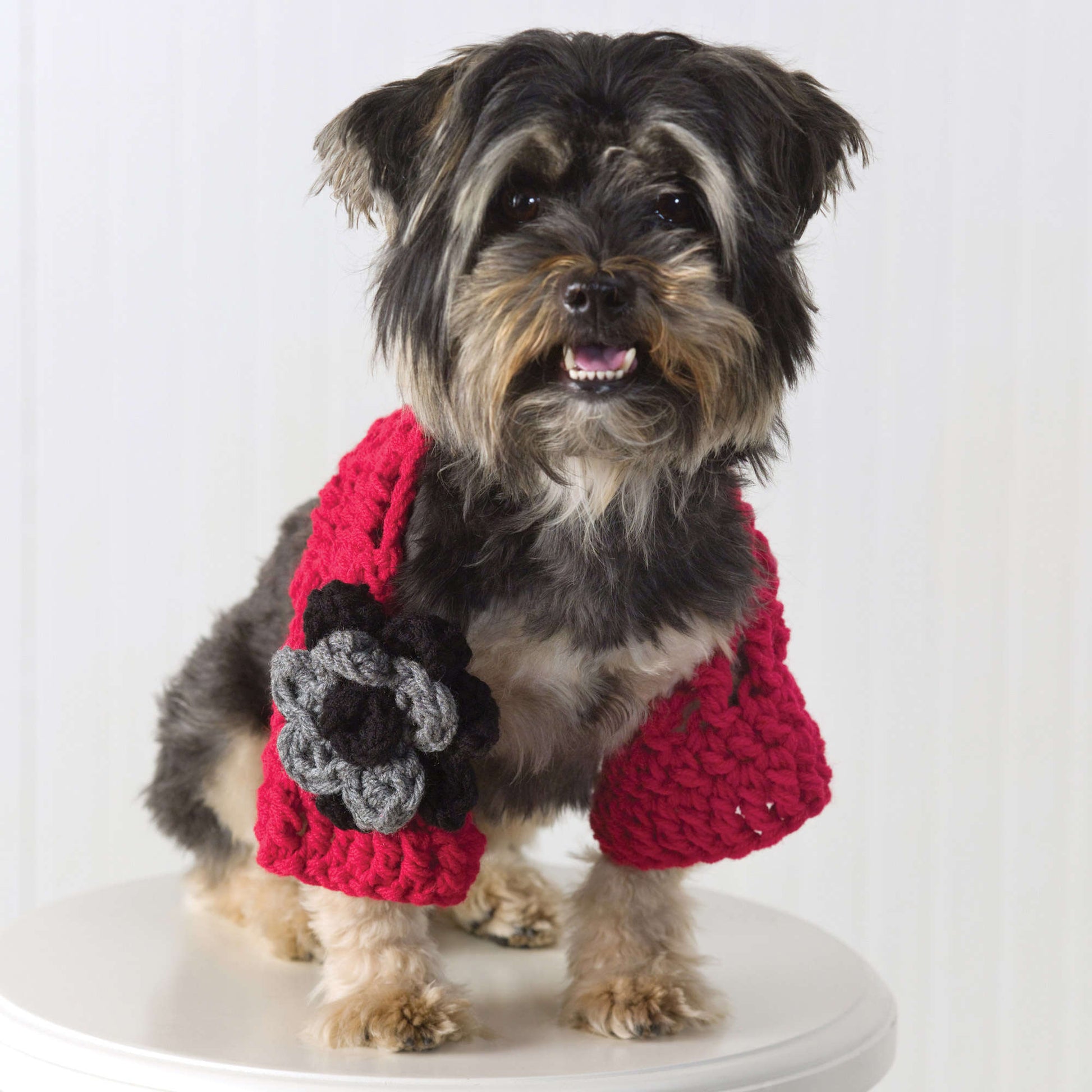 Free Easy Red Heart Doggie Shrug Crochet Pattern | Yarnspirations