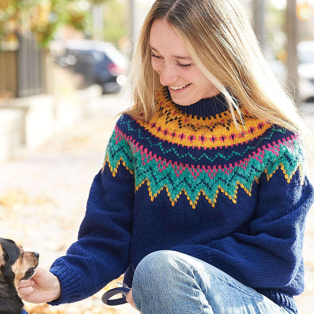 Free Red Heart O'Go Adult Matching Yoke Sweater Knitting Pattern ...