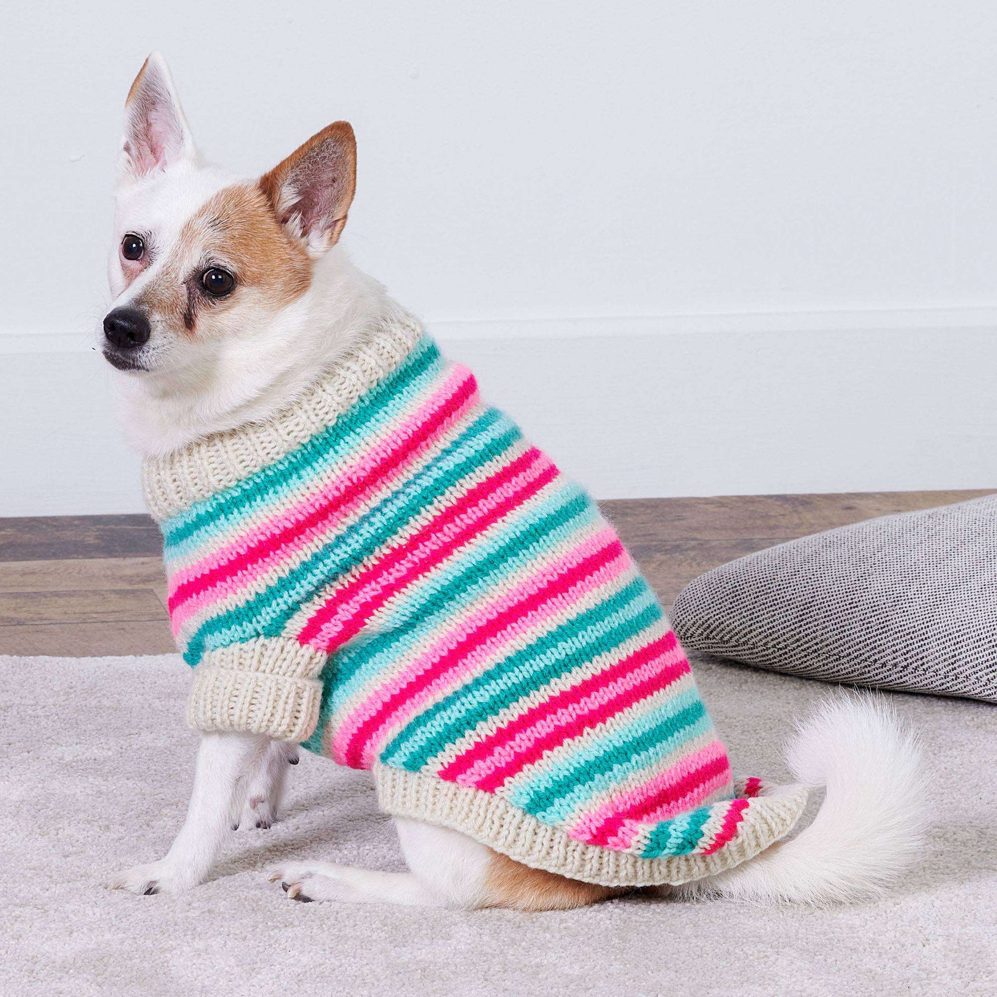 Free Knitting Pattern Dog Coat Dog Sweater Vintage Knitting Pattern